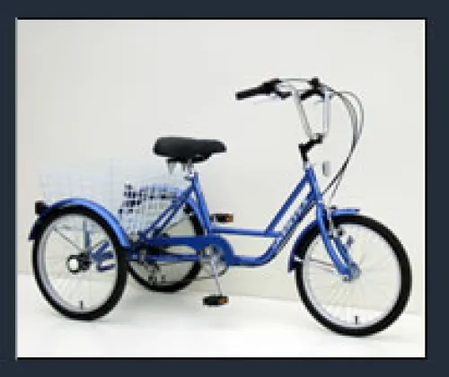MUSKOKA 24'' 1 SPEED COASTER TRIKE (200 LBS) - B&P Cycle and Sports