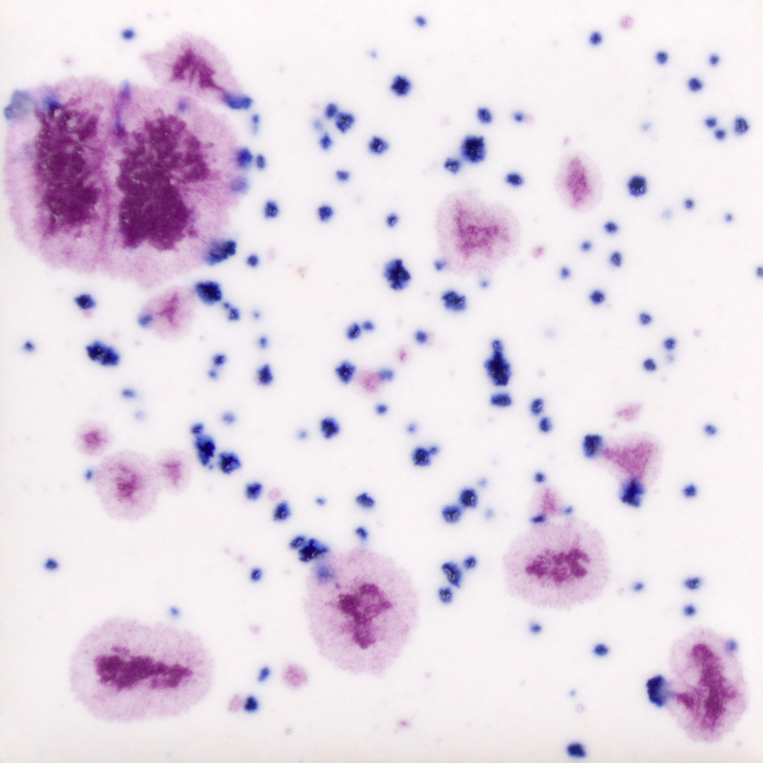 MAYCO CG-1011 FROSTED BERRIES PT - Queen City Clay