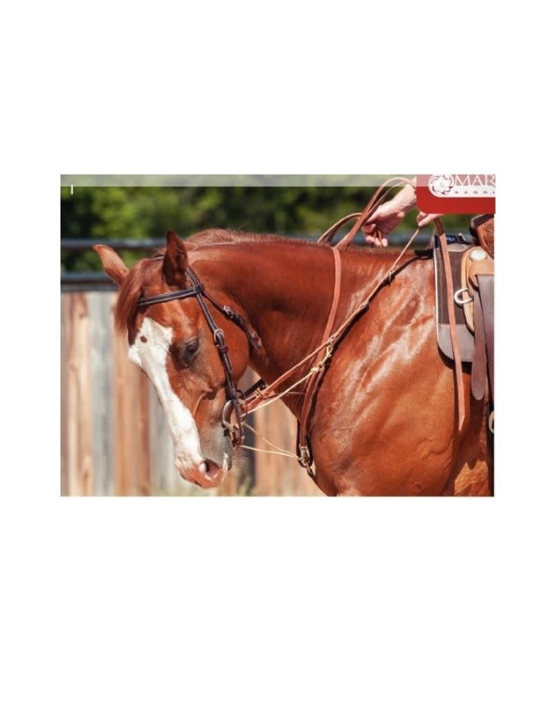 MARTIN Martingale Split Rein - Gold Buckle Tack