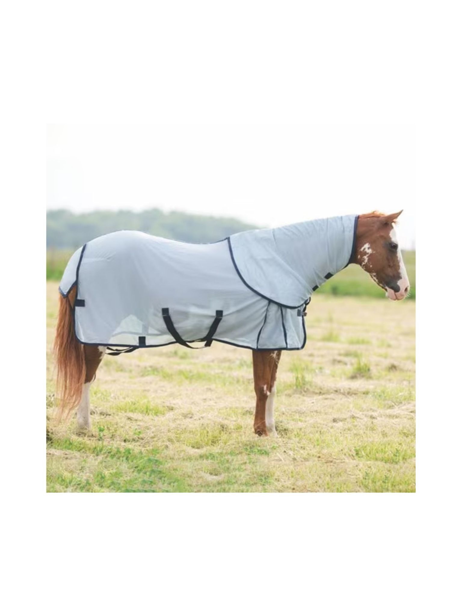 Professional's Choice Theramic Fly Sheet - Gold Buckle Tack