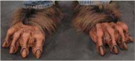 Werewolf Feet - Karries Kostumes & Dance Supplies