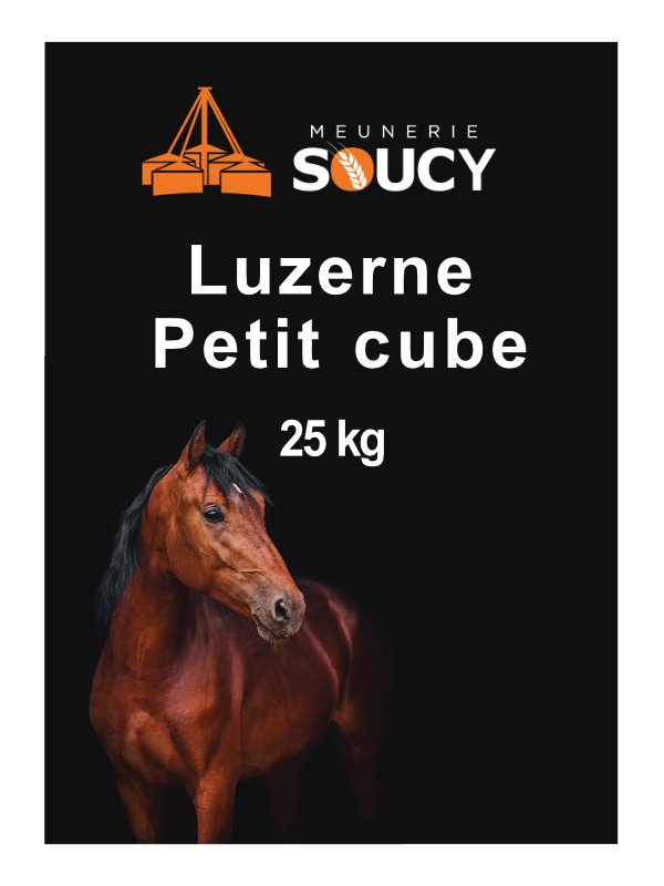 Soucy Luzerne petit cube 25 kg | Boutique Moulée Santé - Boutique ...