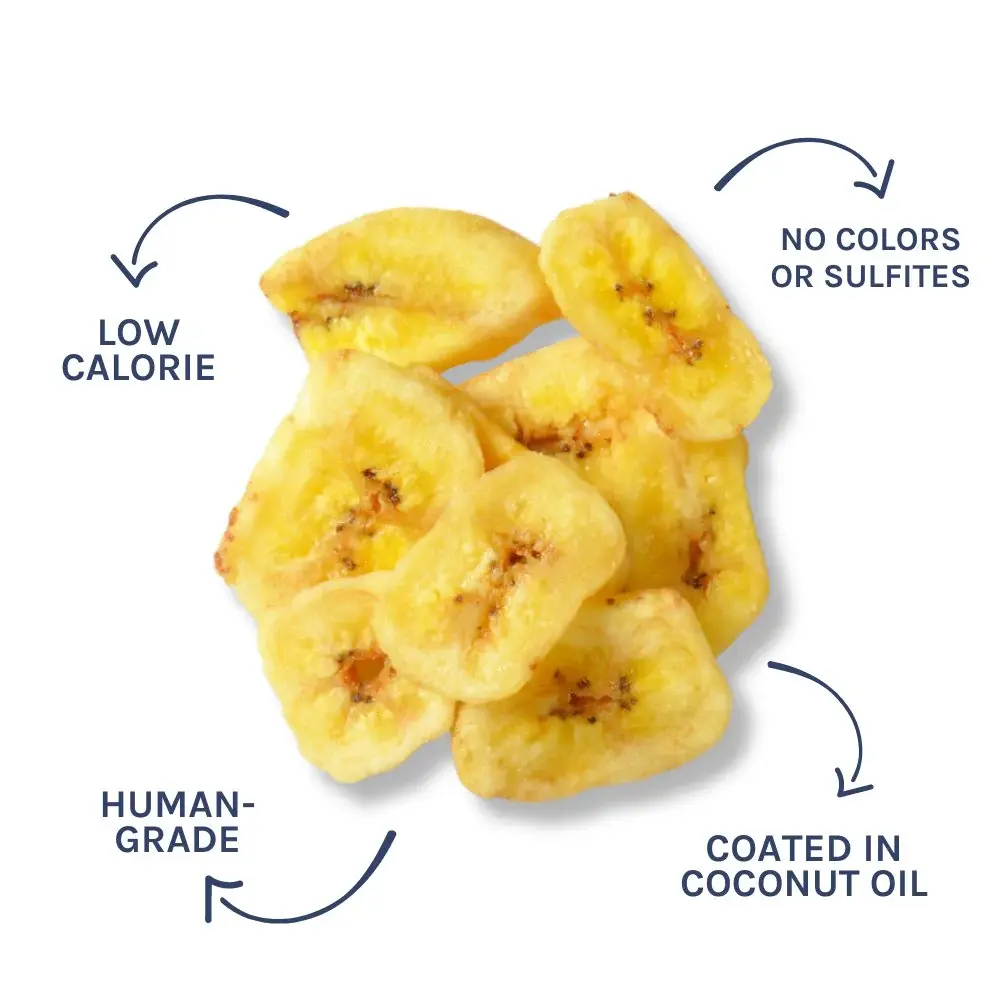 Healthy bud HB chips banane 130 g - Boutique Moulée Santé