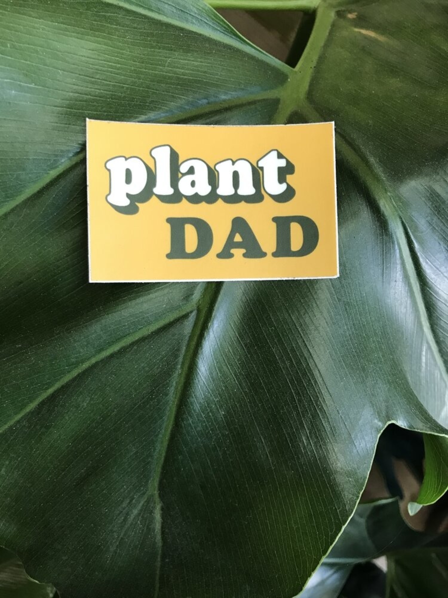 Plant Dad Sticker - Jungle House