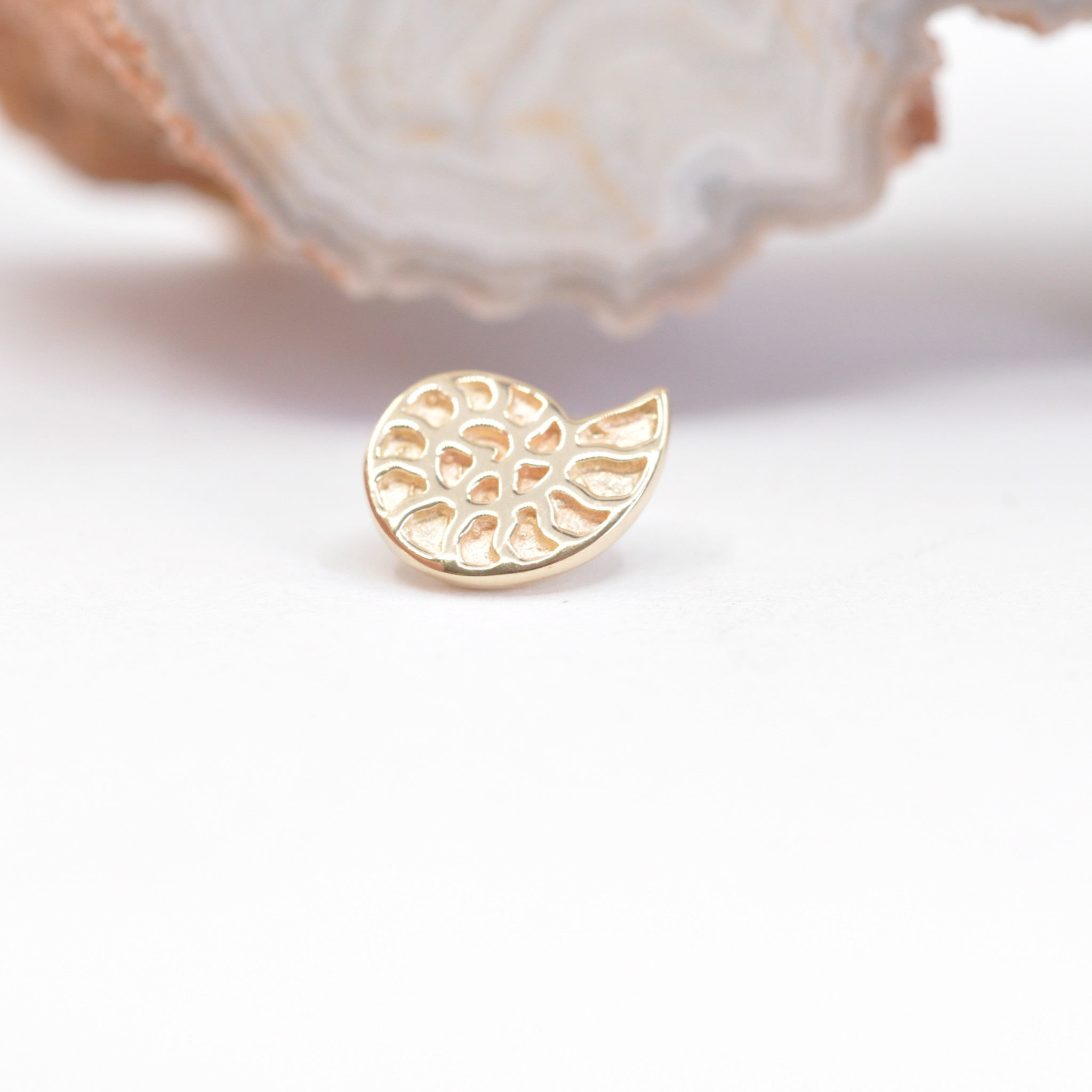 Nautilus 16g Threaded Ends in 14k Gold by BVLA! - Mint Piercing