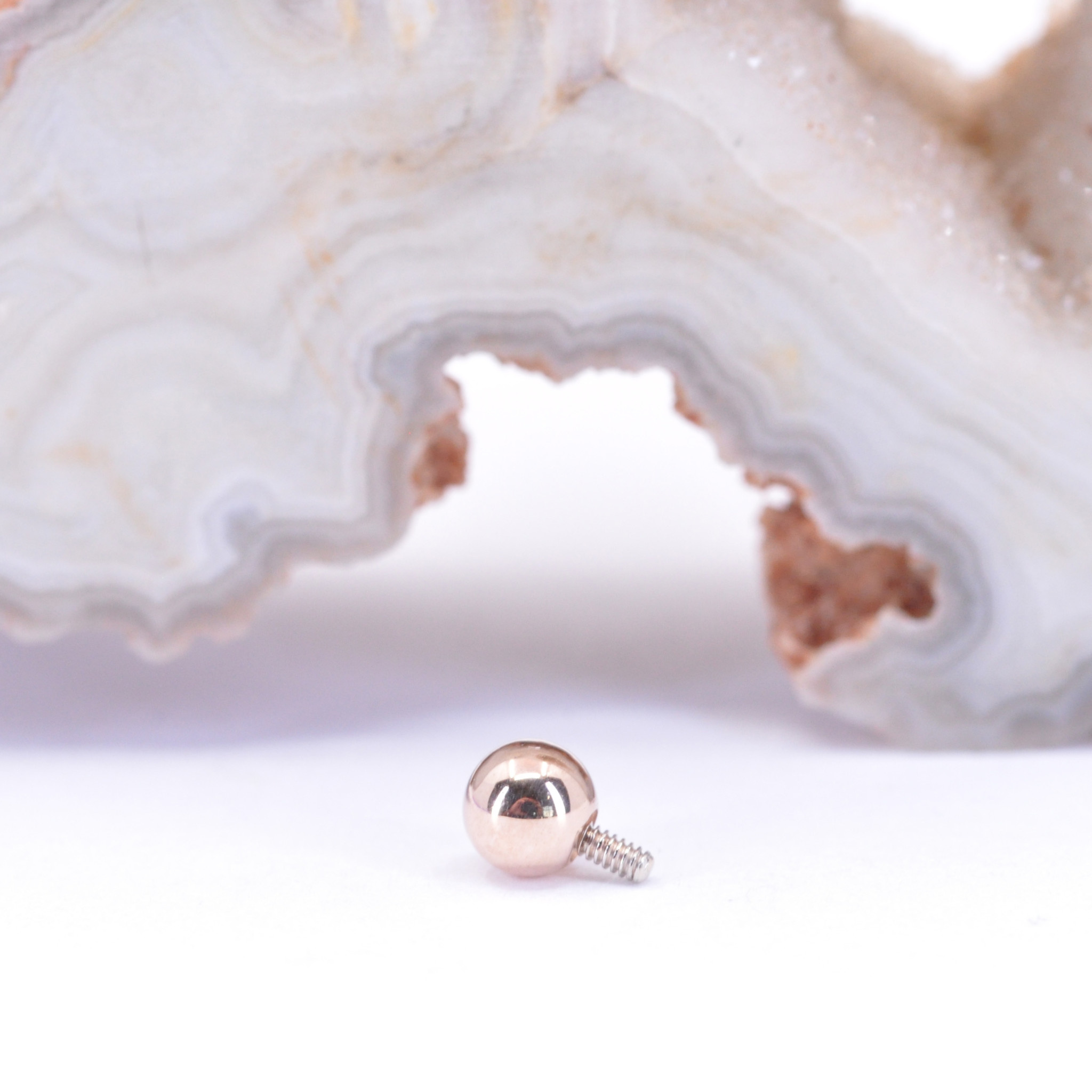1/8" Ball 16g Threaded End in 14k Rose Gold by BVLA! - Mint Piercing