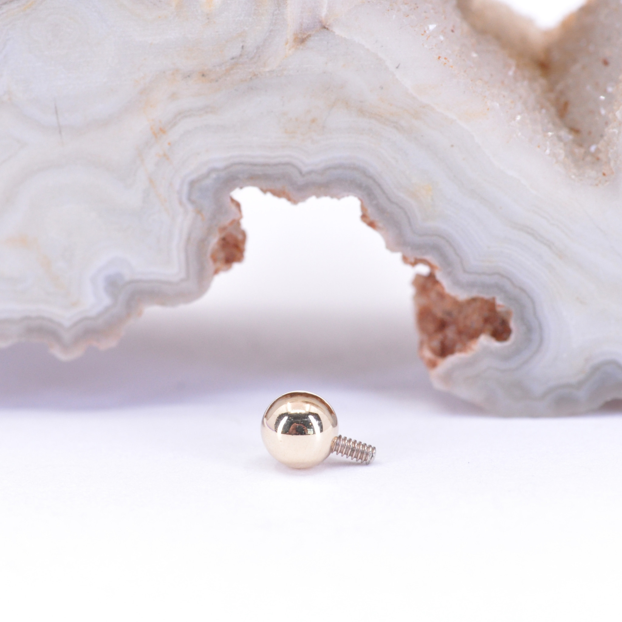 1/8" Ball 16g Threaded End in 14k Yellow Gold by BVLA! - Mint Piercing