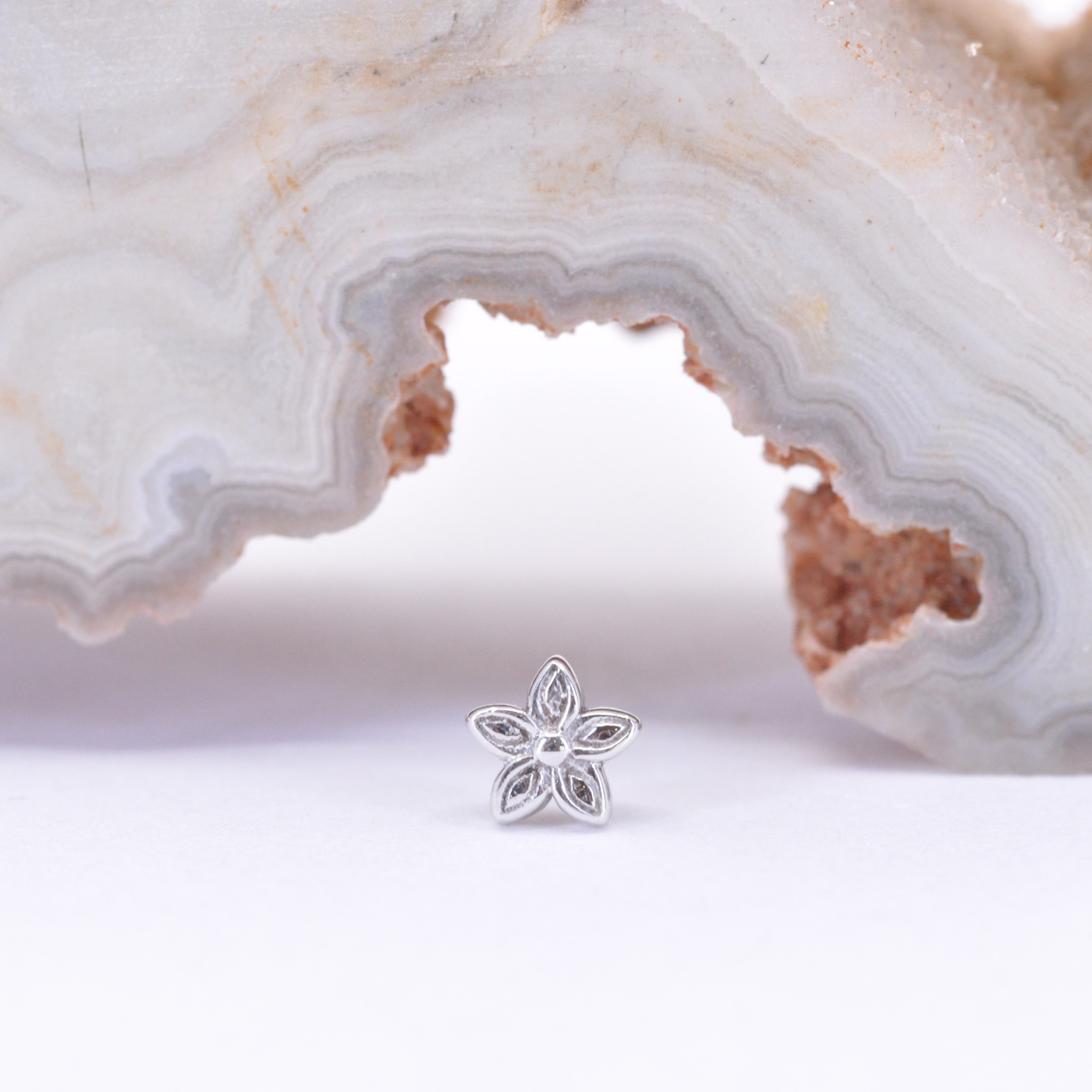 Tiny Hibiscus Flower in 14k Gold Threadless Ends by BVLA! - Mint Piercing