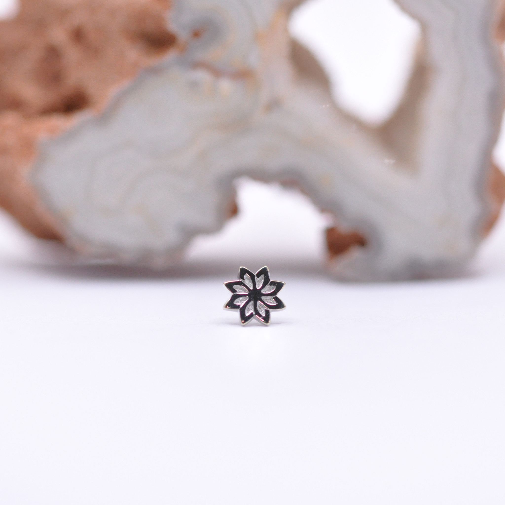 Elegance in 14k White Gold Threadless End by Junipurr - Mint Piercing