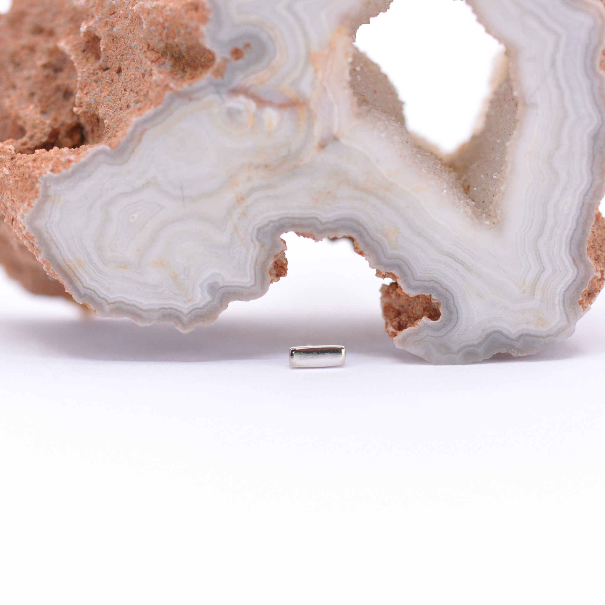 Flat Rectangle 14k Gold Threadless Ends by BVLA! - Mint Piercing