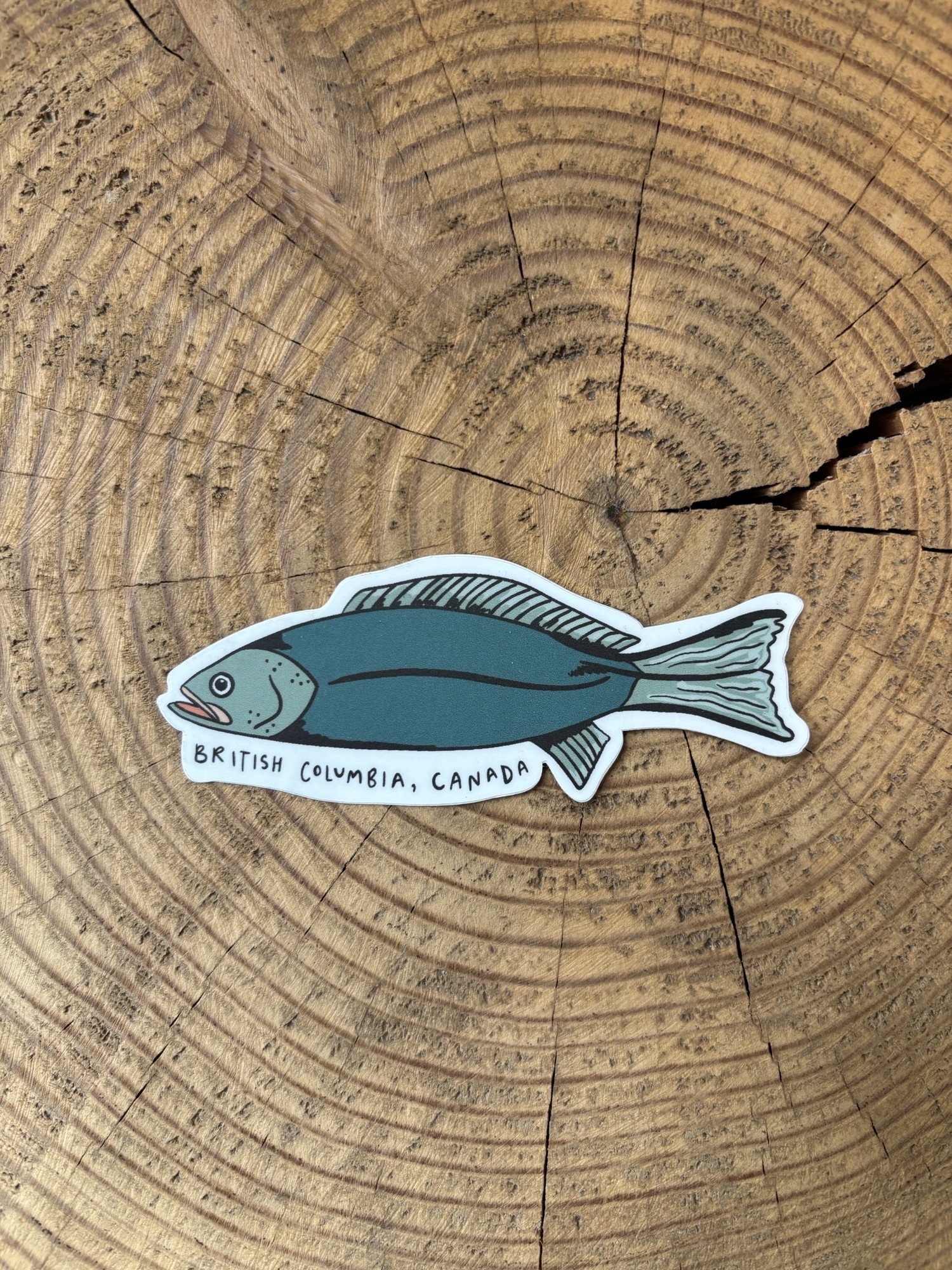 BC Fish Sticker - Tourism Tofino