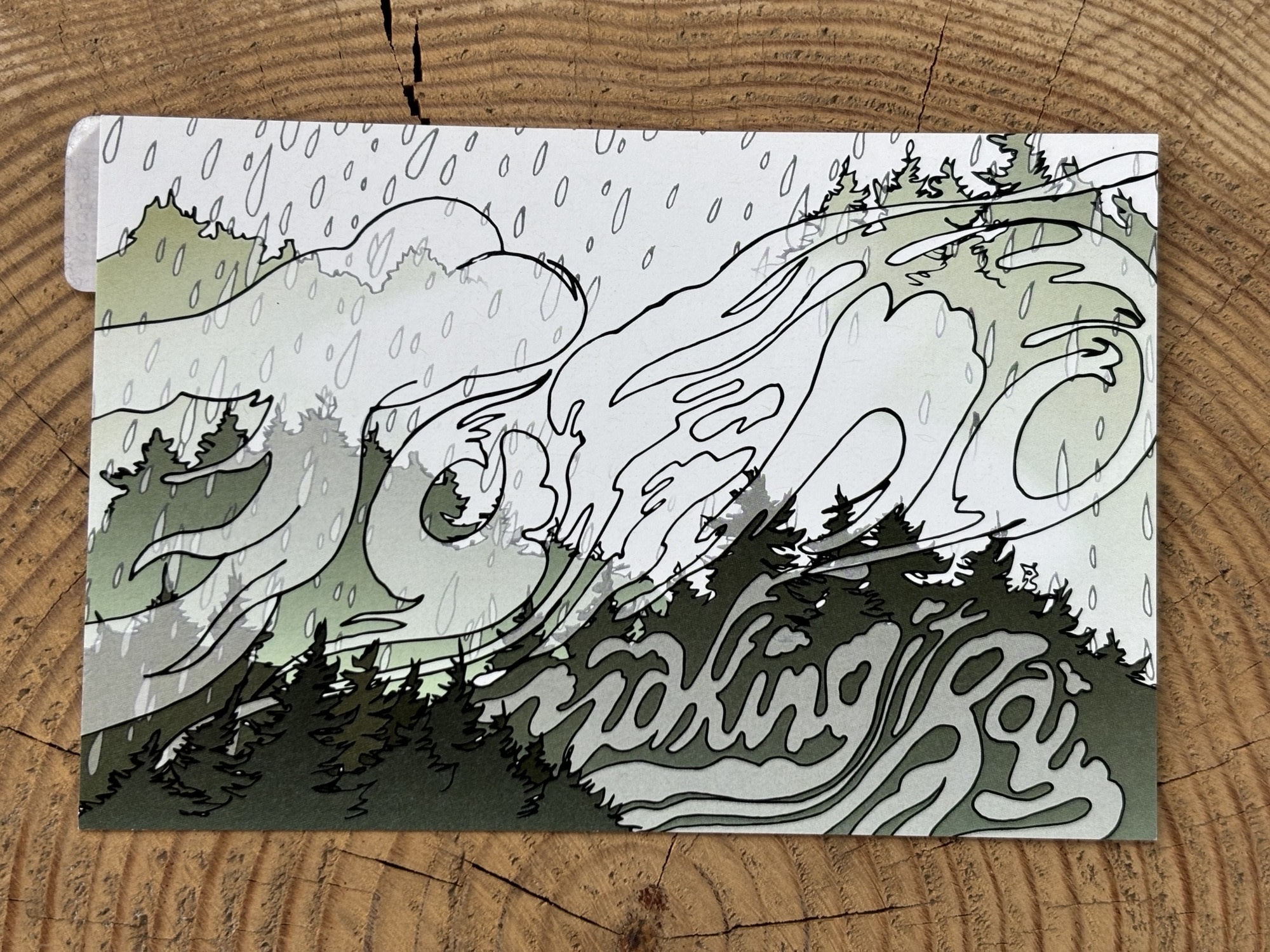 Postcard Making it Rain Wild Life - Tourism Tofino