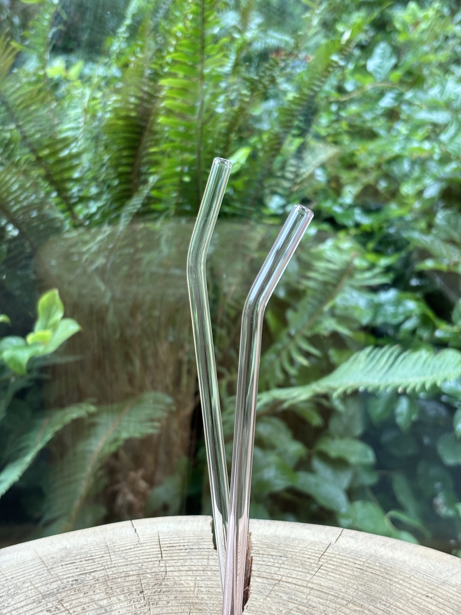 Glass Straw - Tourism Tofino