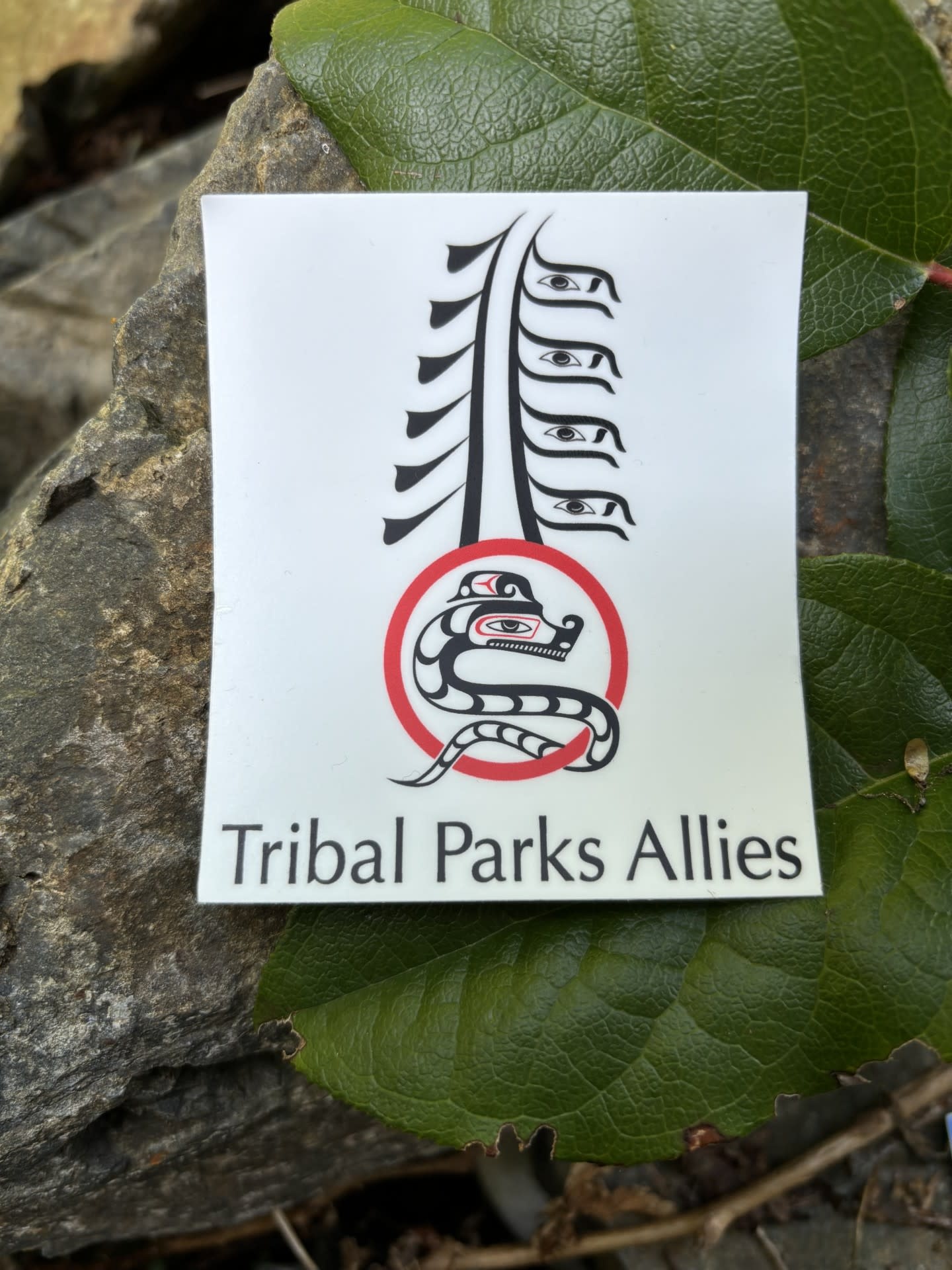 Tla-o-qui-aht Tribal Parks Allies Sticker - Tourism Tofino