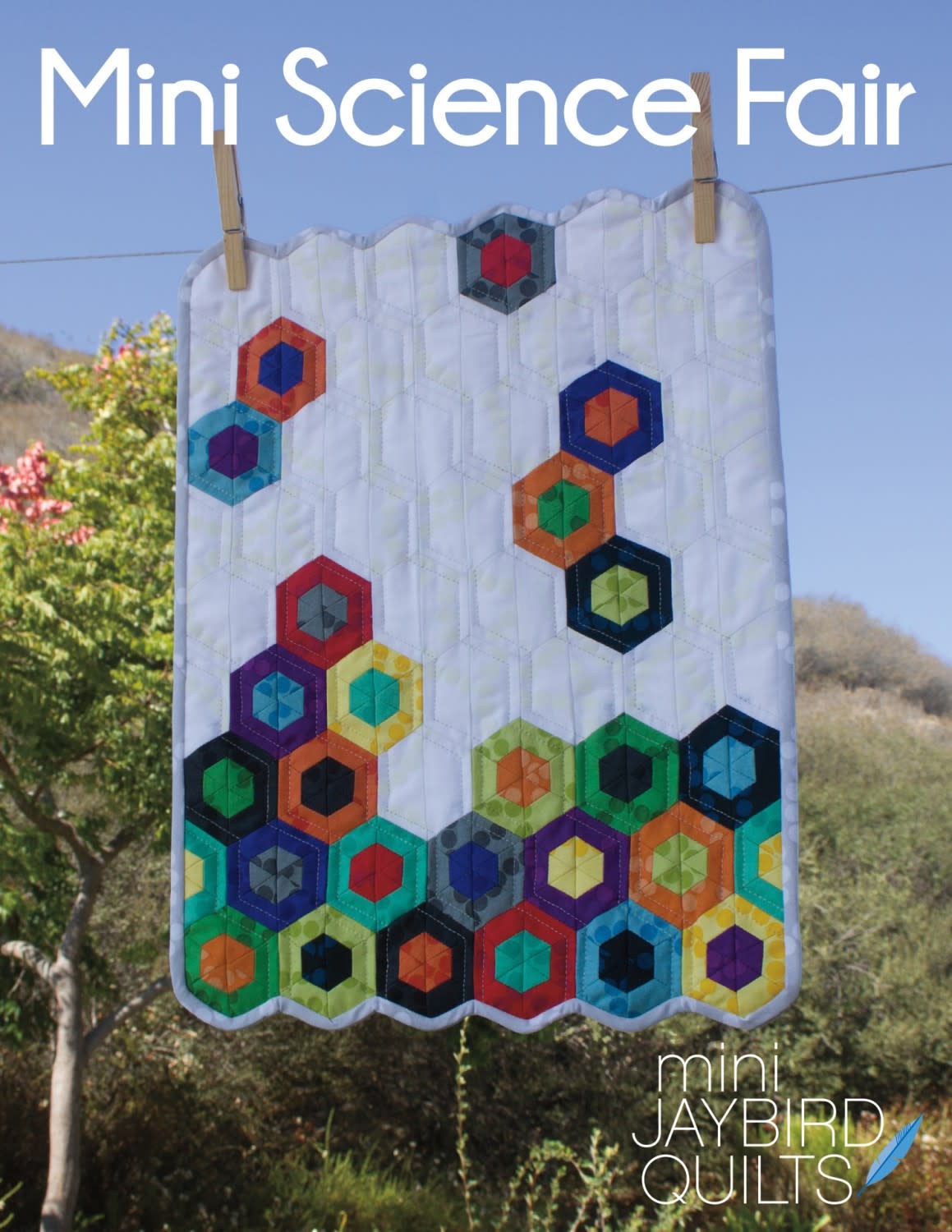 Mini Science Fair Mini Quilt Pattern - Stitch by Stitch