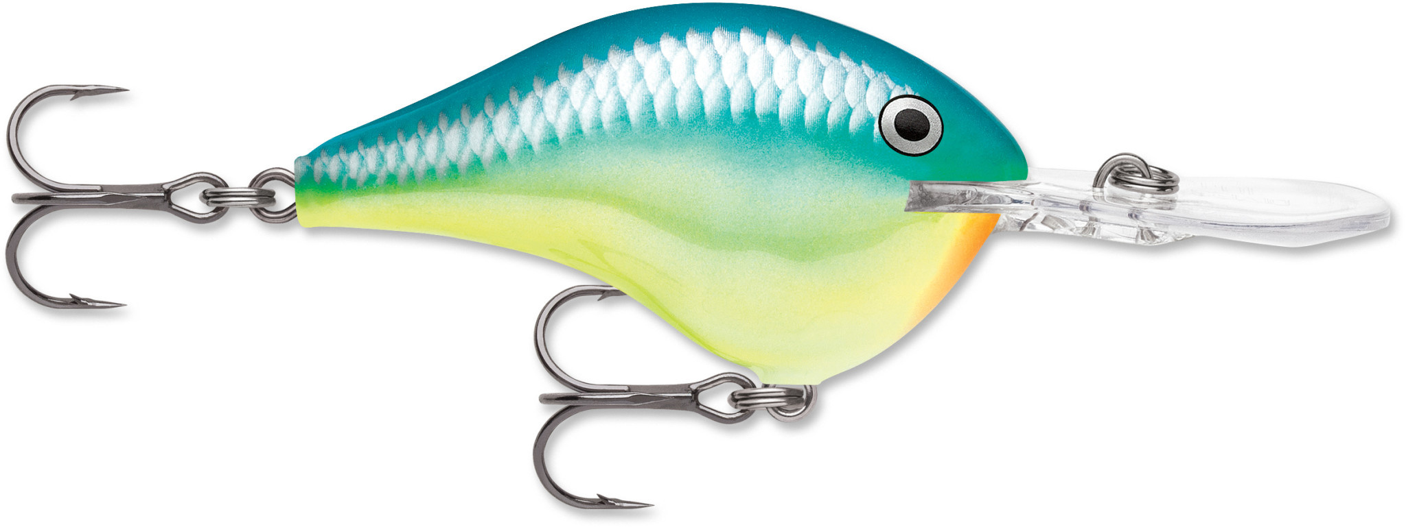 Rapala DT-10 Crankbait - Rock Outdoors