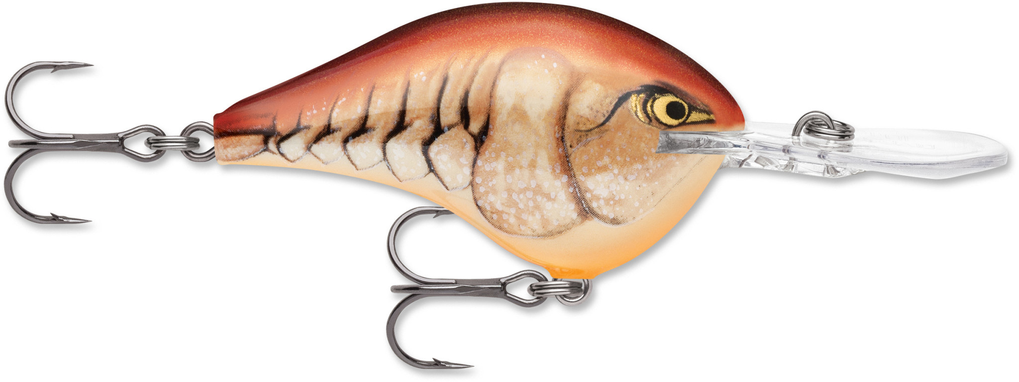 Rapala DT-14 Crankbait - Rock Outdoors