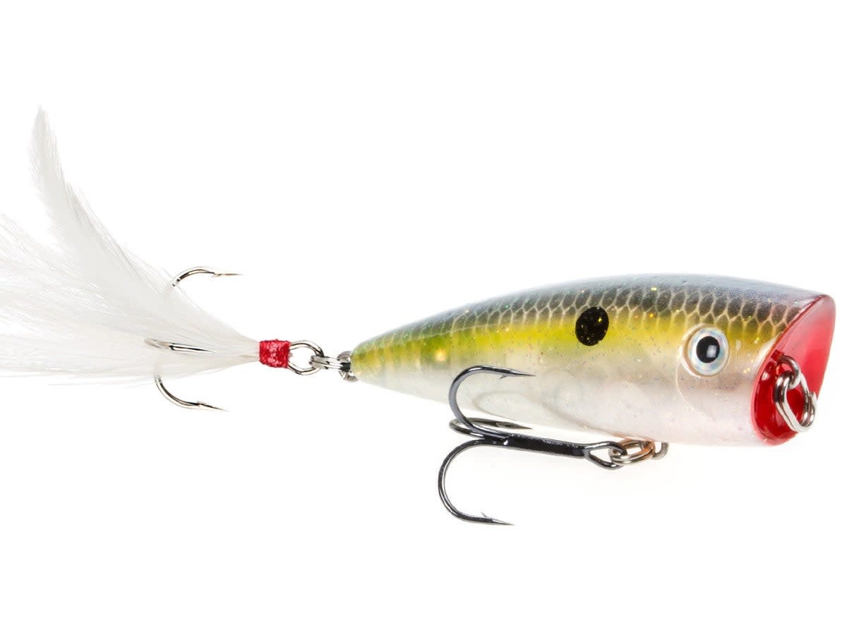 Strike King HC KVD Splash Popper - Rock Outdoors