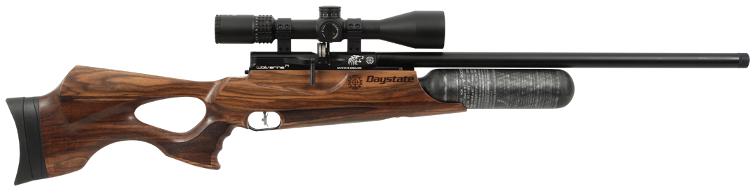 Daystate Wolverine R .22 Cal - 30 ft/lbs - Airgun Source Canada