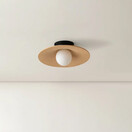 Alien Orb Surface Mount - Prevalent Projects