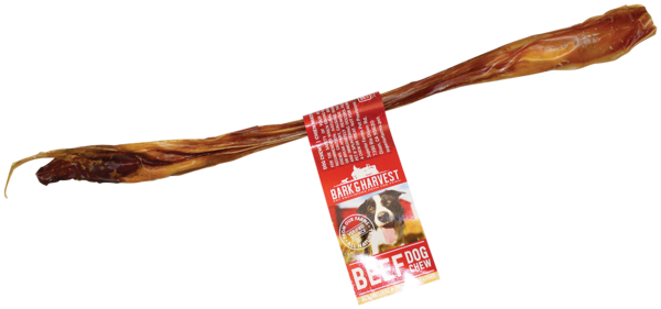 Bark & Harvest Beef Pizzle 12” - Pawtopia: Your Pet's Nutritionist