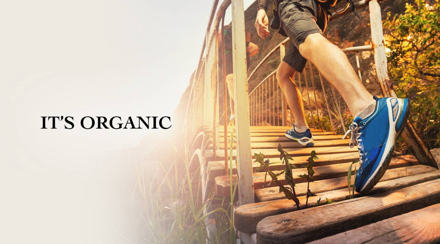 ORGANIQUE - ORGANIQUE