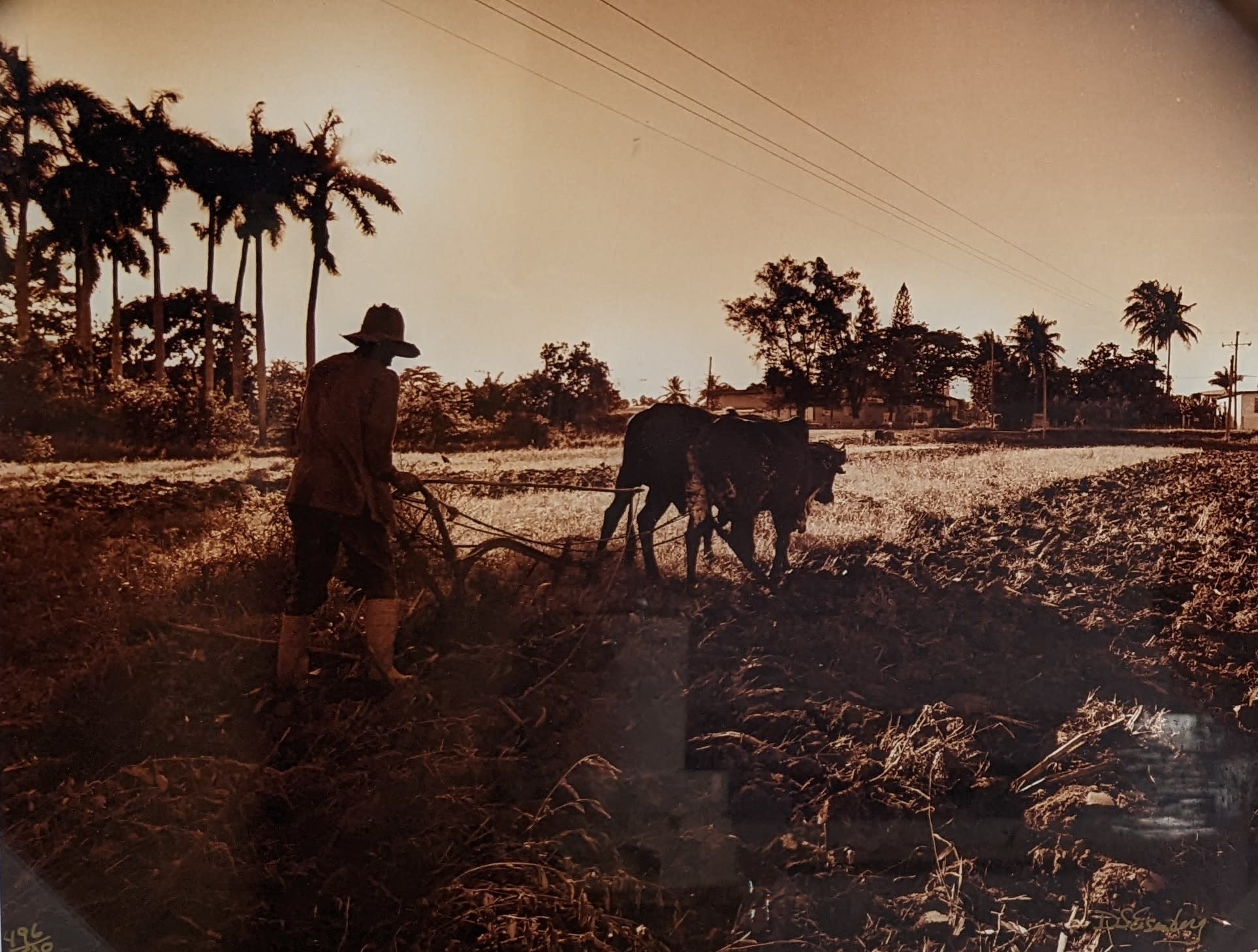 David Eisenberg by David Eisenberg - Liss Gallery