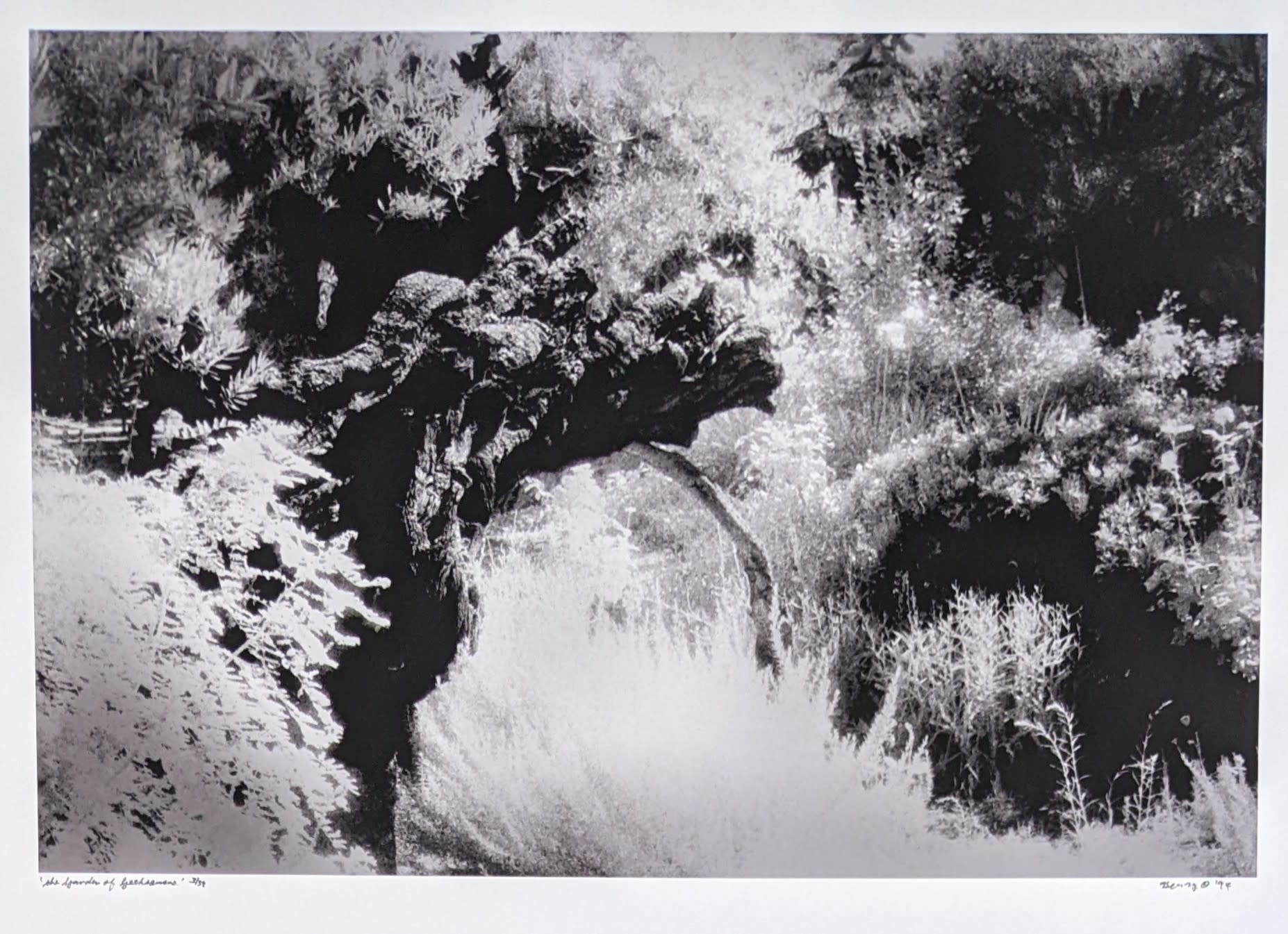 The Garden of Gethsemane by Ben Ng - Liss Gallery