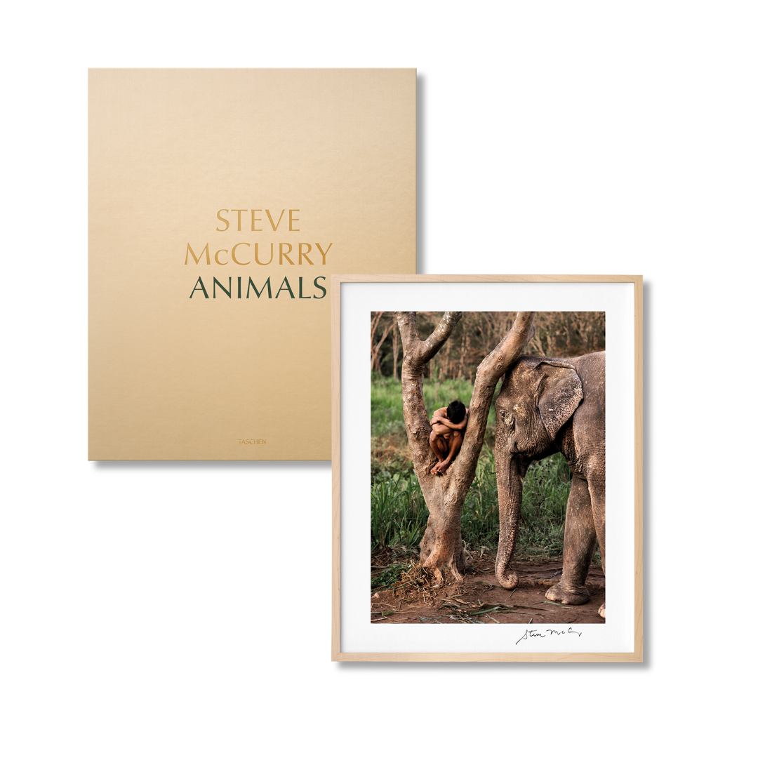 Animals by Steve McCurry (Signed Copy) - Liss Gallery