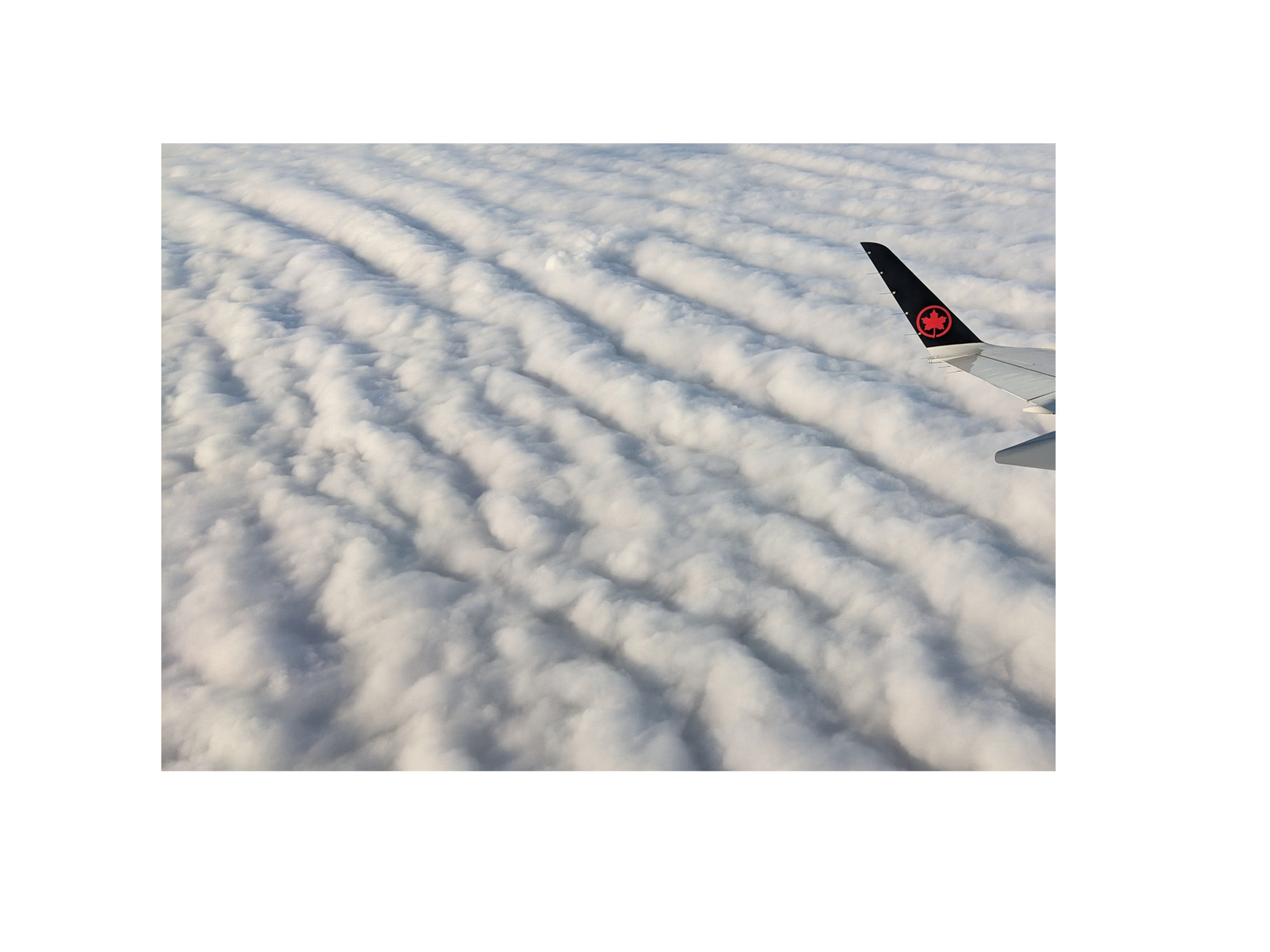 Cloud Farms to Canada, New York, Dec 2023 by יִשַׁי - Liss Gallery