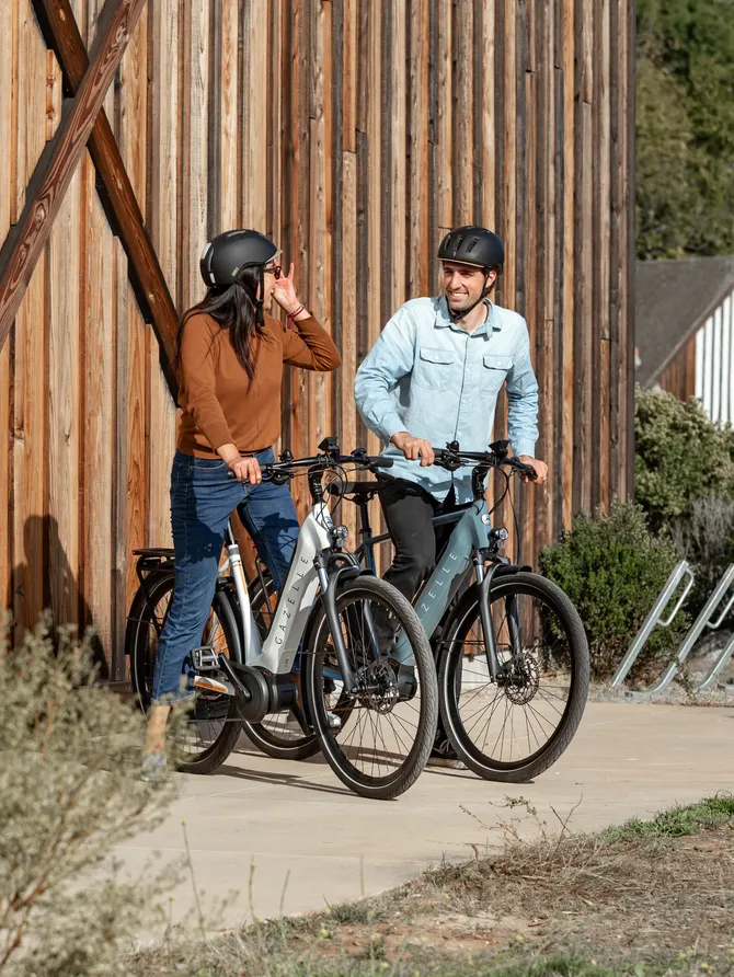 Gazelle Ultimate C8 Low step Smart System Vélo électrique - Echo sports