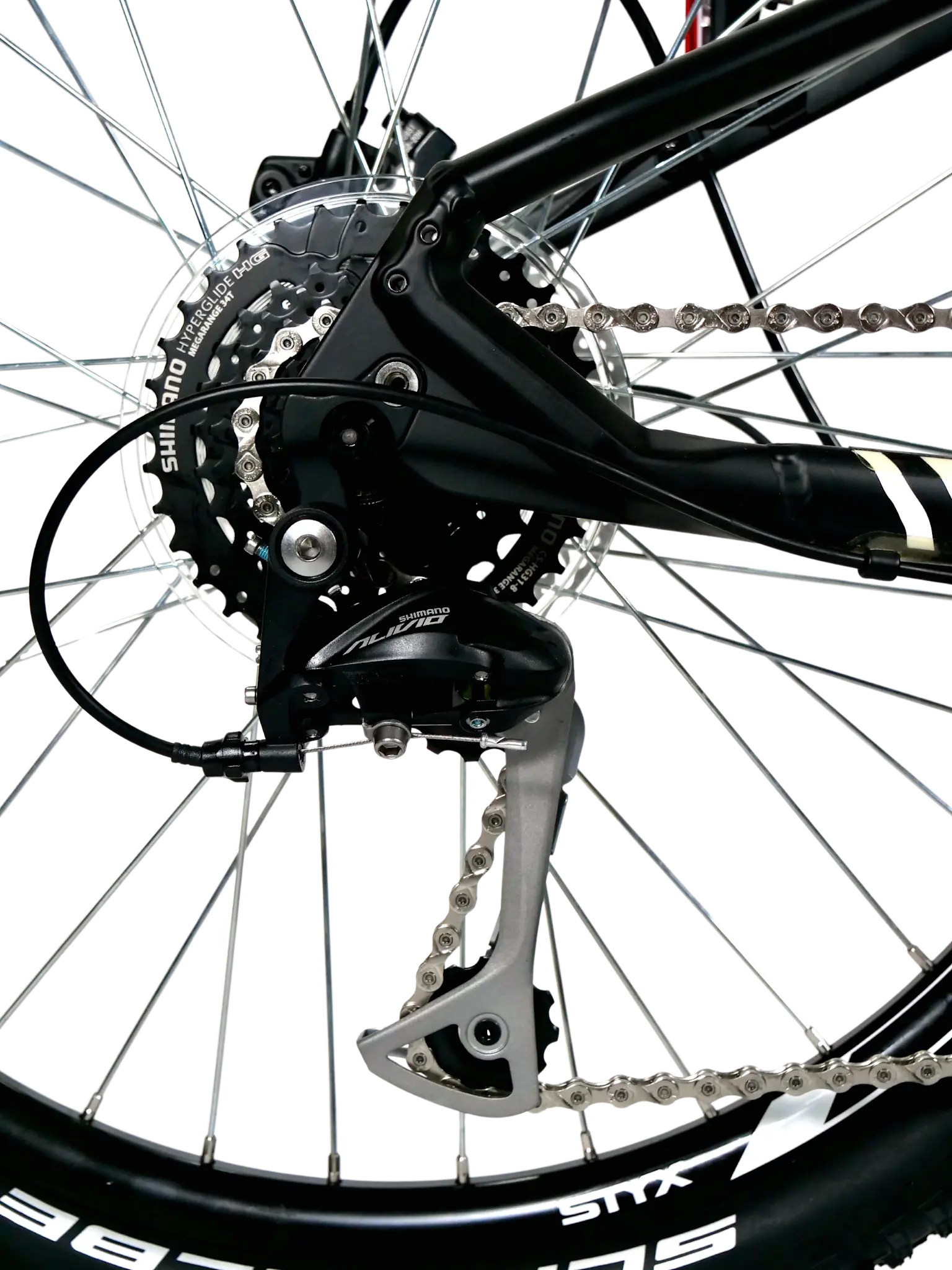 BULLS Twenty4 E 24” Vélo électrique de montagne - Echo sports