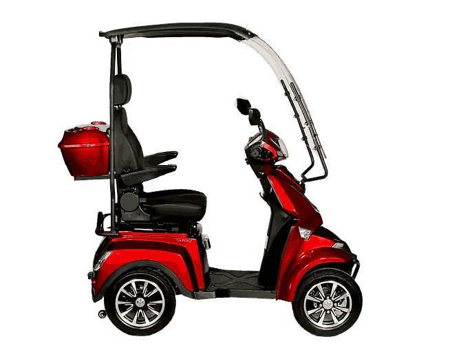 Ecolo-Cycle ET4 Galaxy (avec toit) Quadriporteur - Echo sports