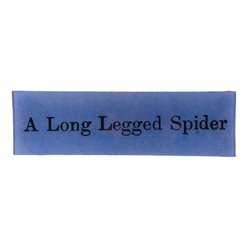 3.5 x 12" Rect .Tray - A Long Legged Spider - Kiki