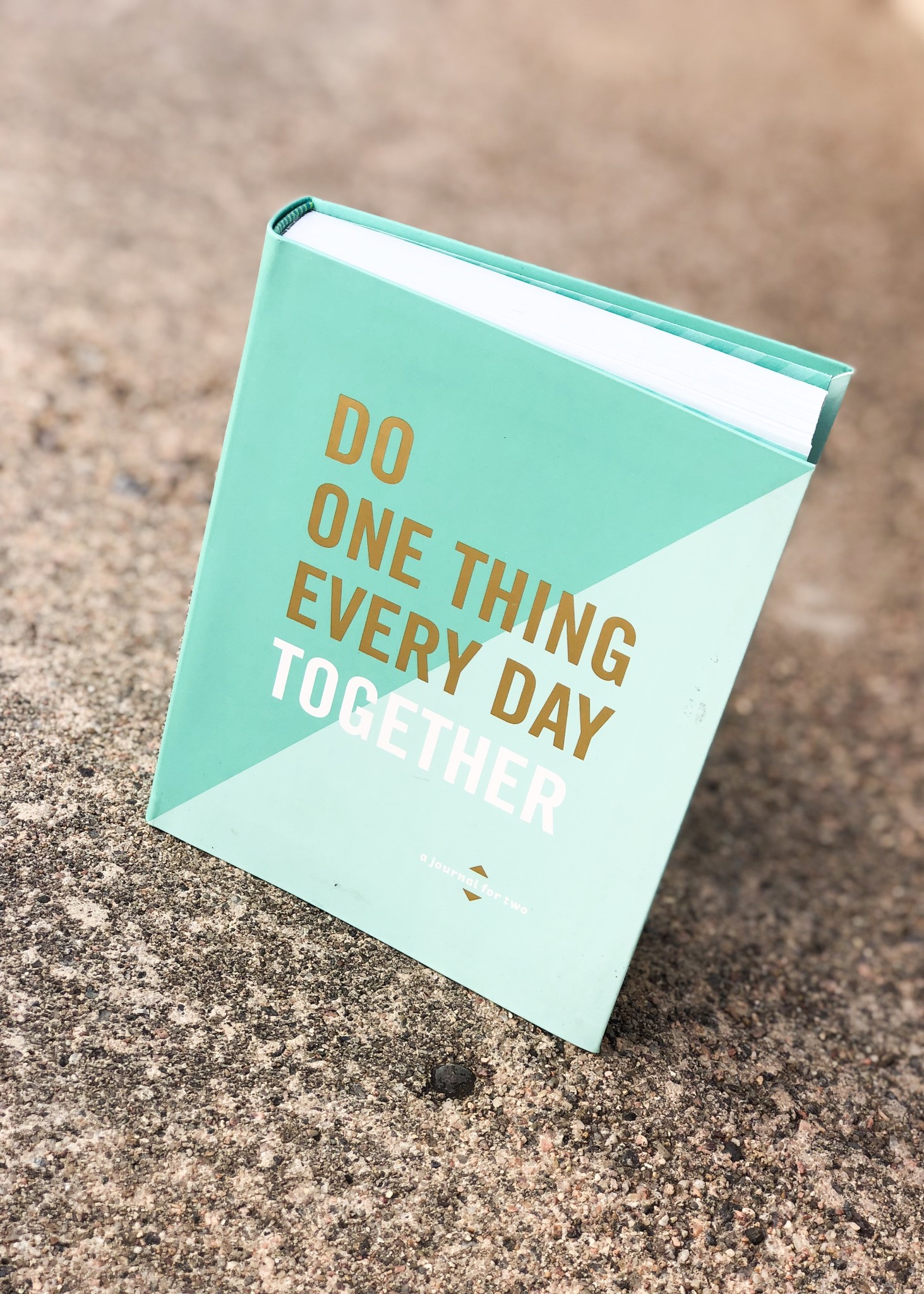 Do One Thing Every Day That Together: A Journal For Two by Robie Rogge ... Do One Thing Every Day That Together: A Journal For Two by Robie Rogge ...