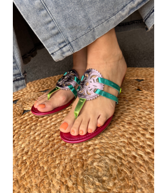 One Stop Shop Women's Clothing, Shoes , accessories - Passo Boutique