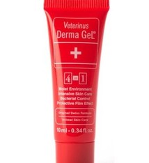 Reptile | North London, ON | Pet Paradise