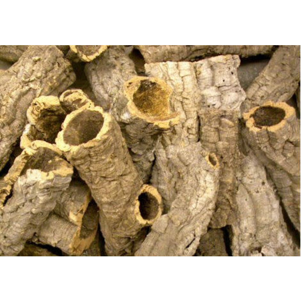 Cork Bark Tubes Sized | North London, ON | Pet Paradise - Pet Paradise