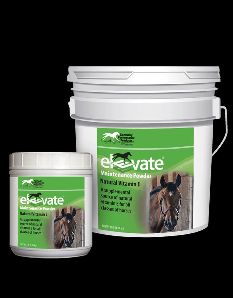Elevate Maintenance Powder - Redfield Tack