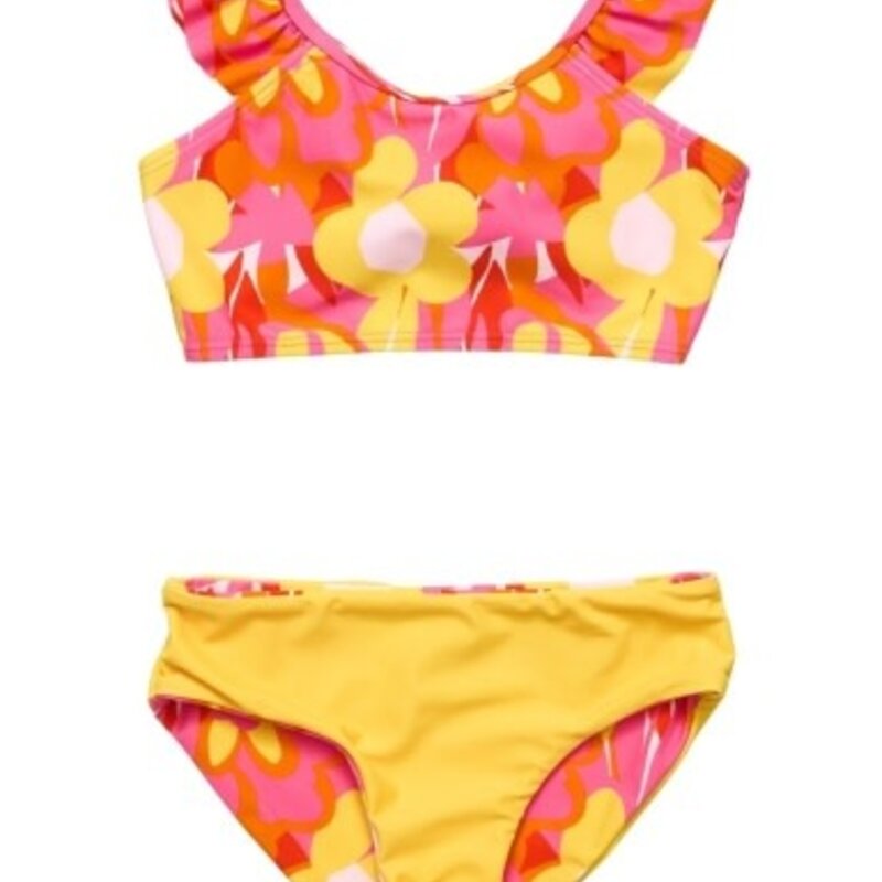 SNAPPER ROCK - Beyond The Rainbow