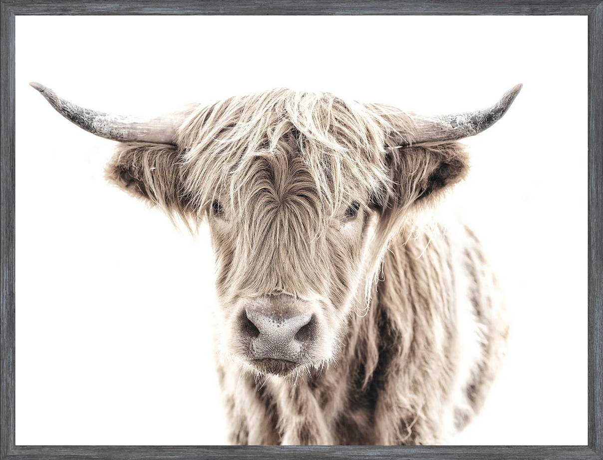 Mod. Farm - Highland Cow - Mini - Grey - Thrive Interiors and Design