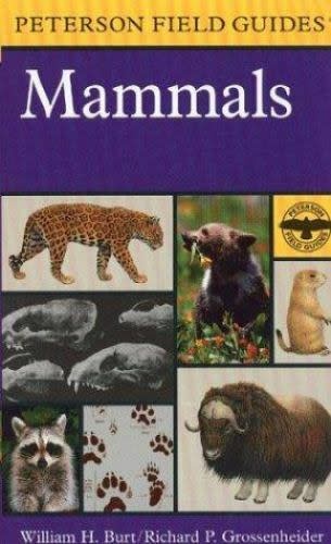MAMMALS OF NA - Birds Connect Seattle