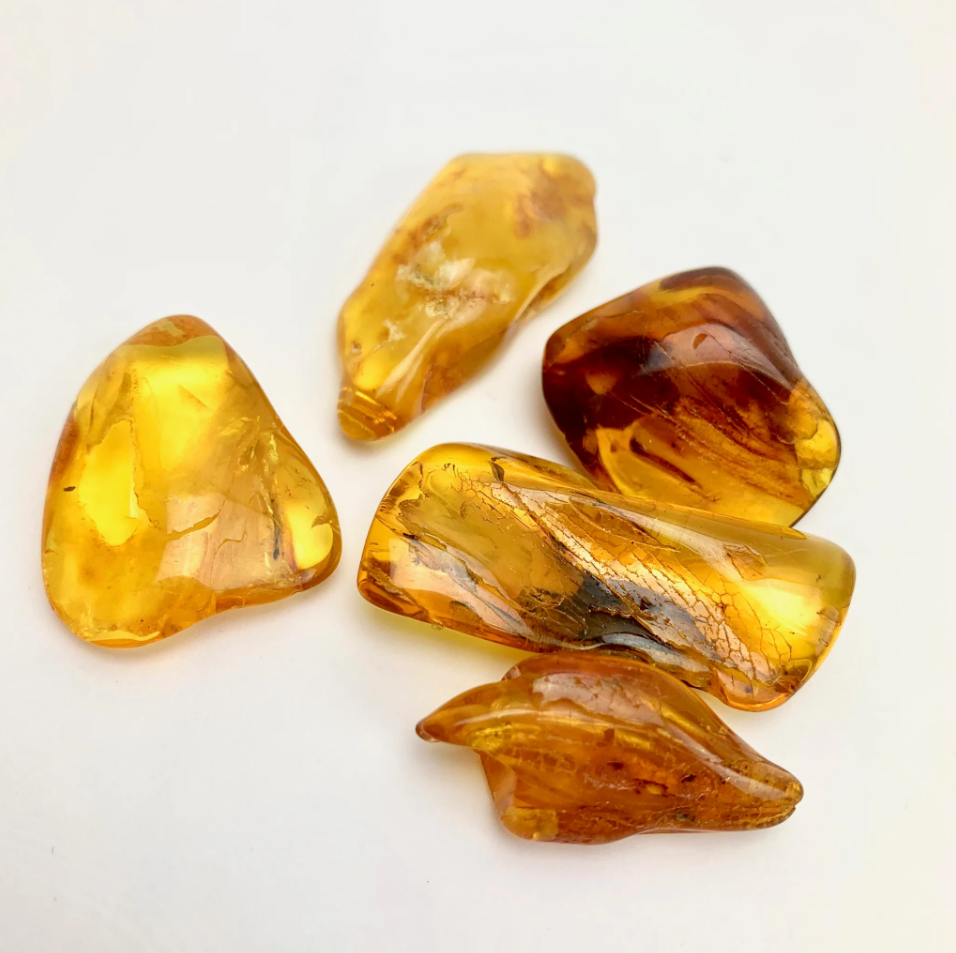 Amber Tumbled Stone – Shop Natural Amber Crystals for Healing - Becca