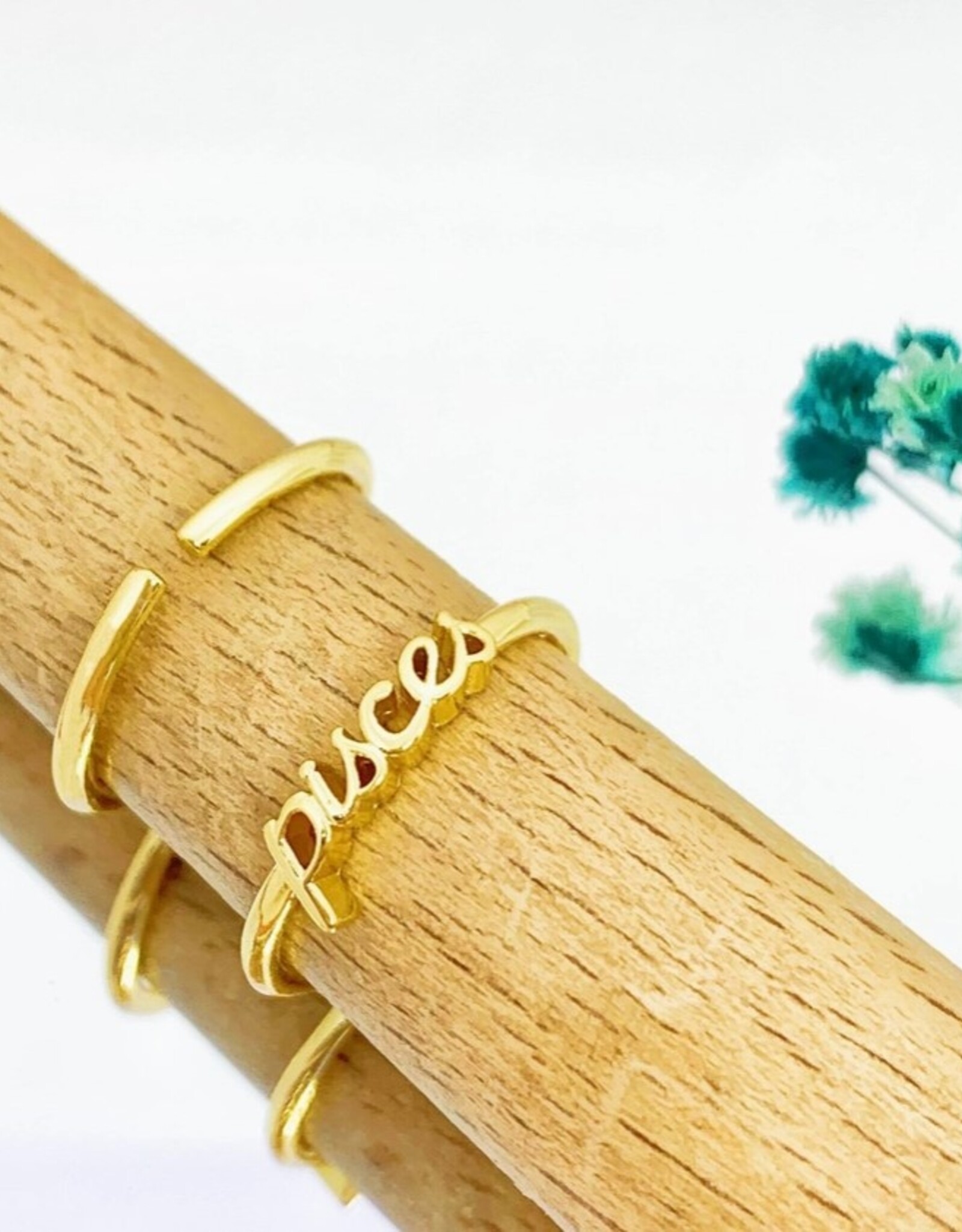 Zodiac Gold Rings | - Becca