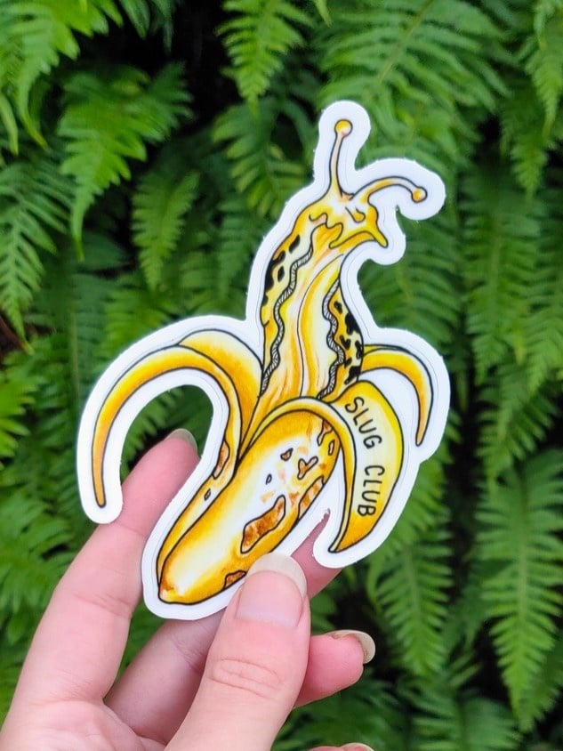 Slug Club - Vinyl Sticker Art - Banana Slug Nature Forest Pnw Hiking ...