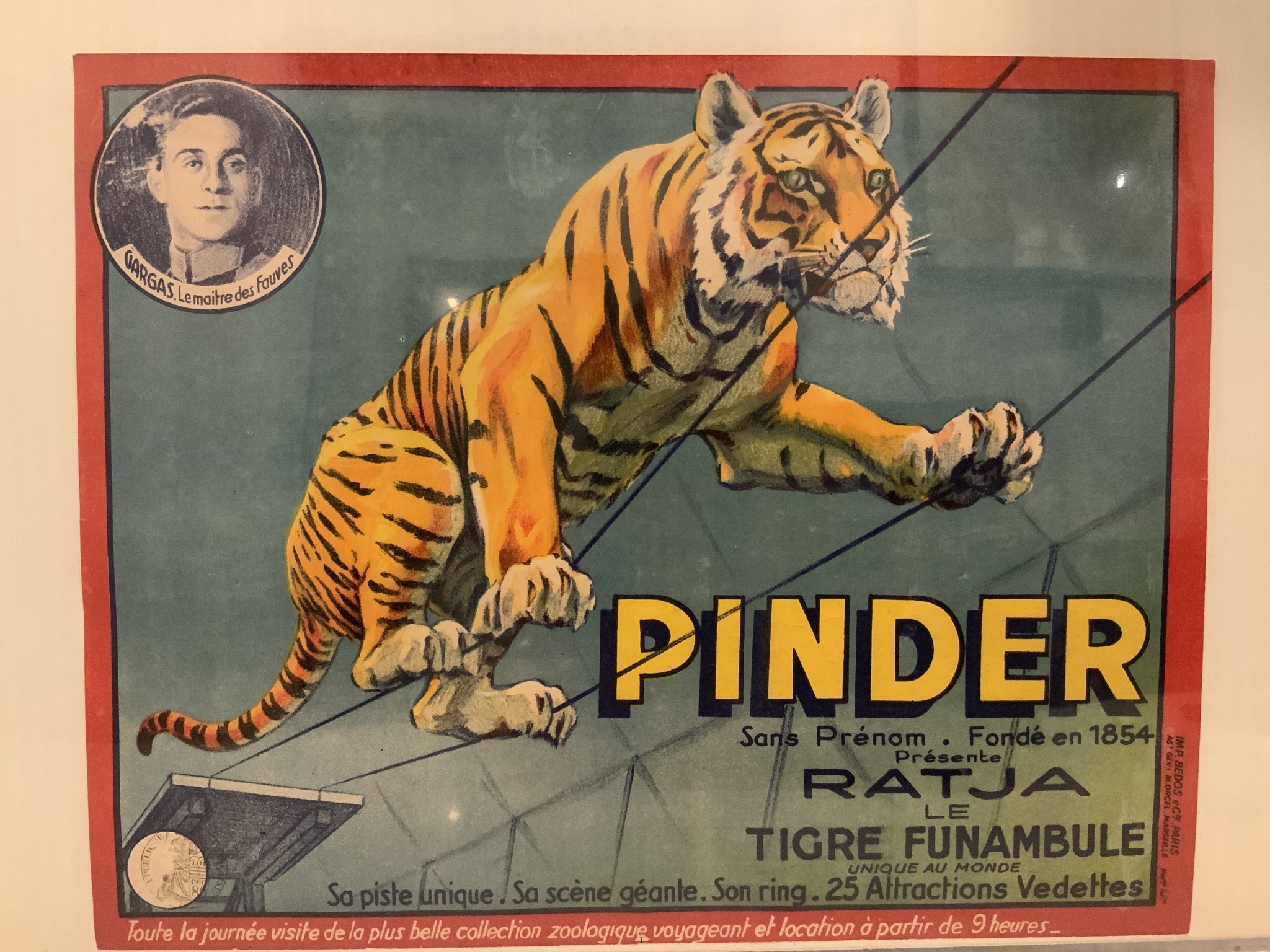Pinder Cirque - South Pointe Vintage