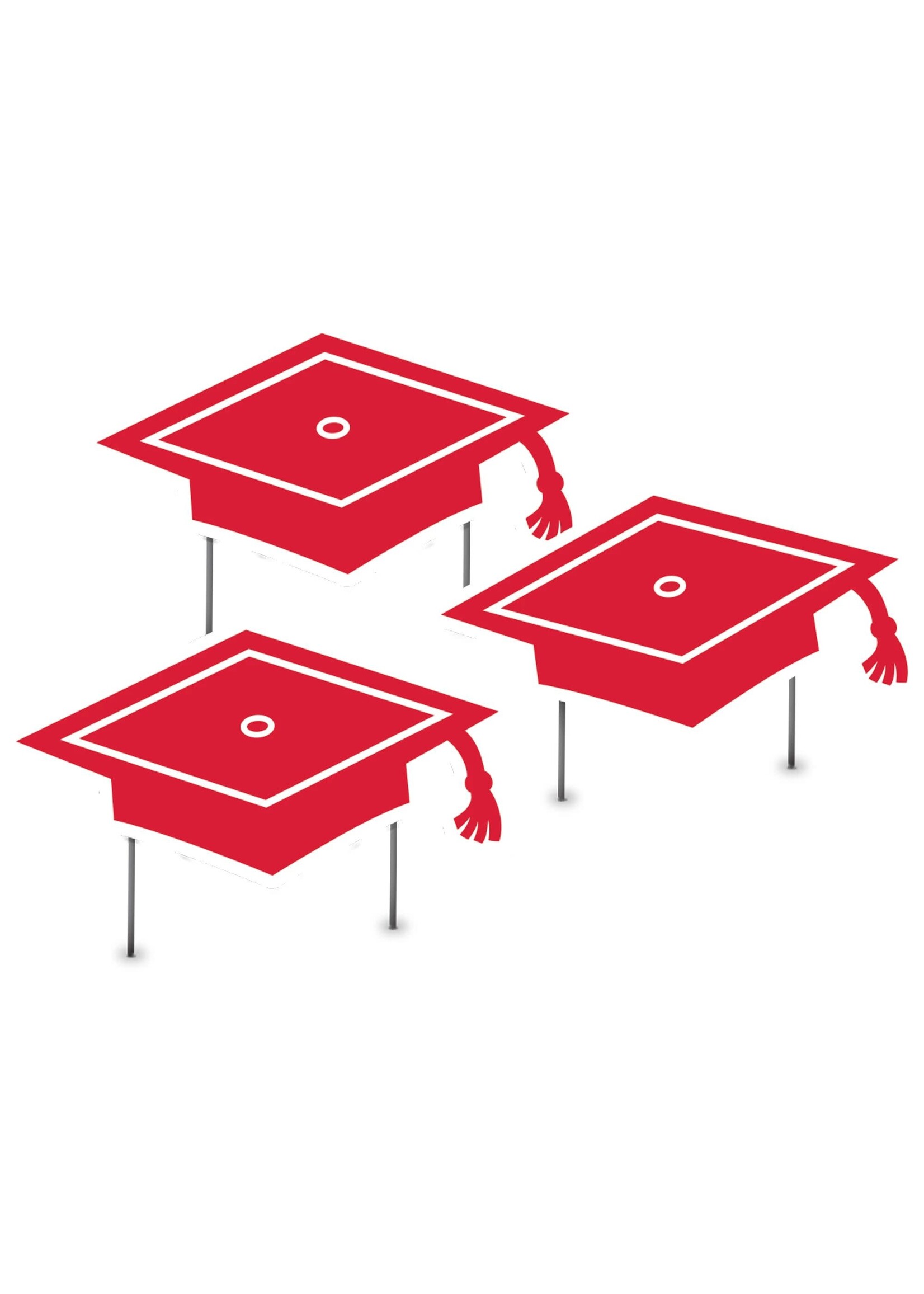 Red Grad Cap Yard Stakes - Party On!