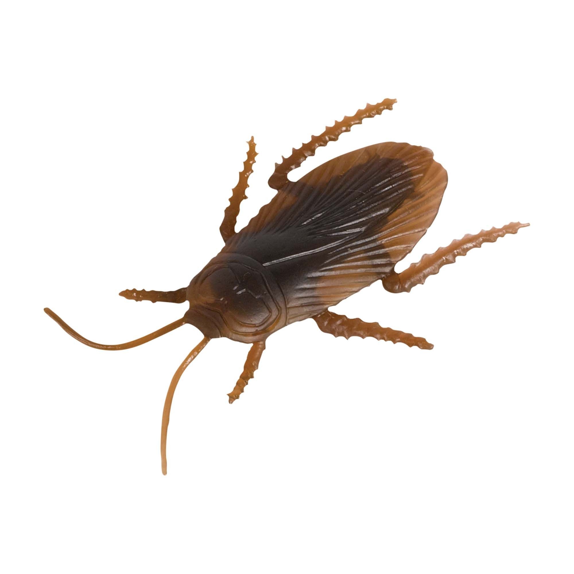 Cockroach Multi-pack - Party On!