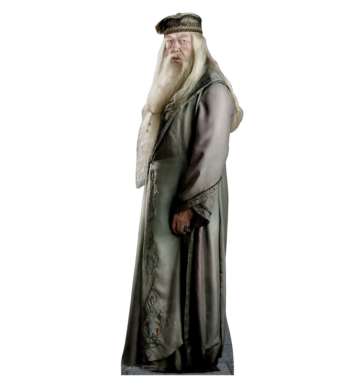 STAND-UP PROFESSOR DUMBLEDORE - Party On!