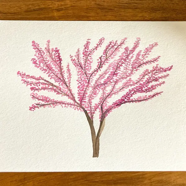 Art Print - 8x10 - Redbud Tree (Watercolor) - PLENTY Mercantile & Venue